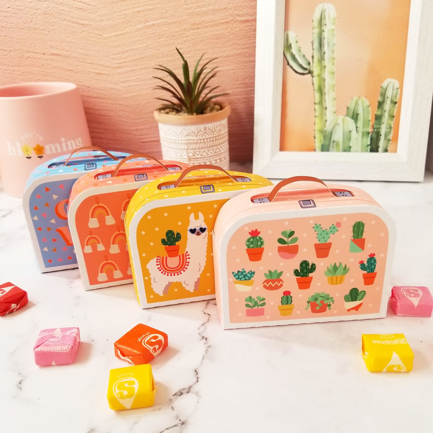 3D Lunchbox Assembly Tutorial – Lalashiba